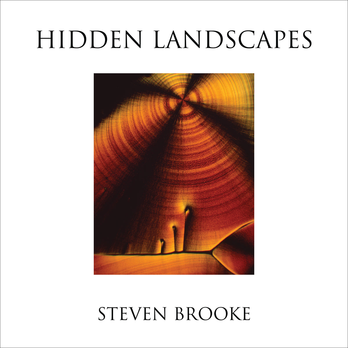 Hidden Landscapes (ebook) – Steven Brooke Editions